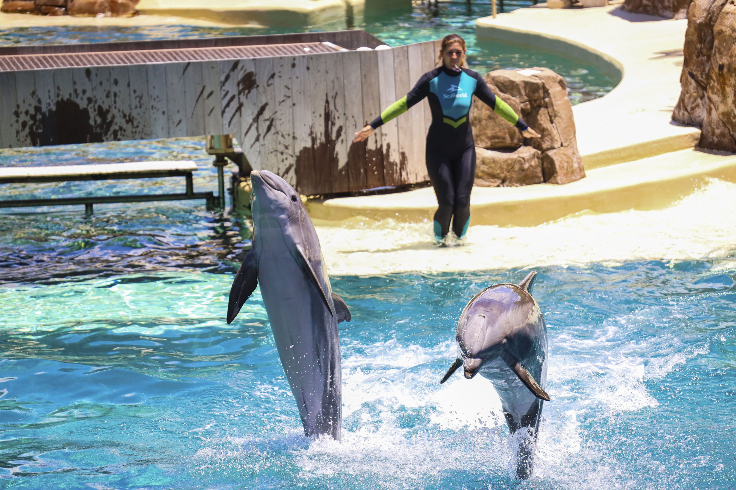 הצעת מחיר – WiKi Digital