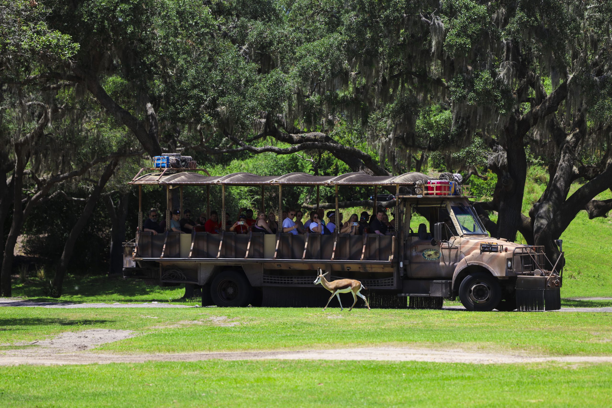 הצעת מחיר – WiKi Digital